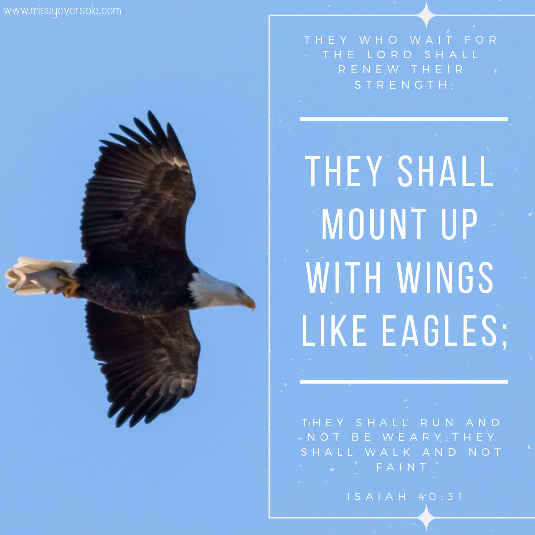 Isaiah 40:31 - Mount Up with Wings Like Eagles - Missy Eversole