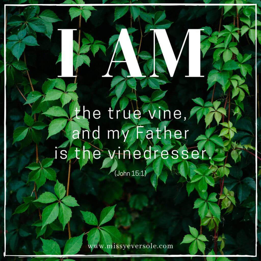 I AM the True Vine - Missy Eversole