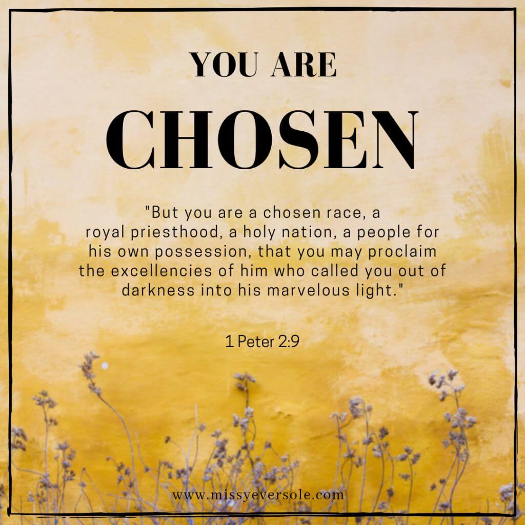 You Are Chosen! - Missy Eversole